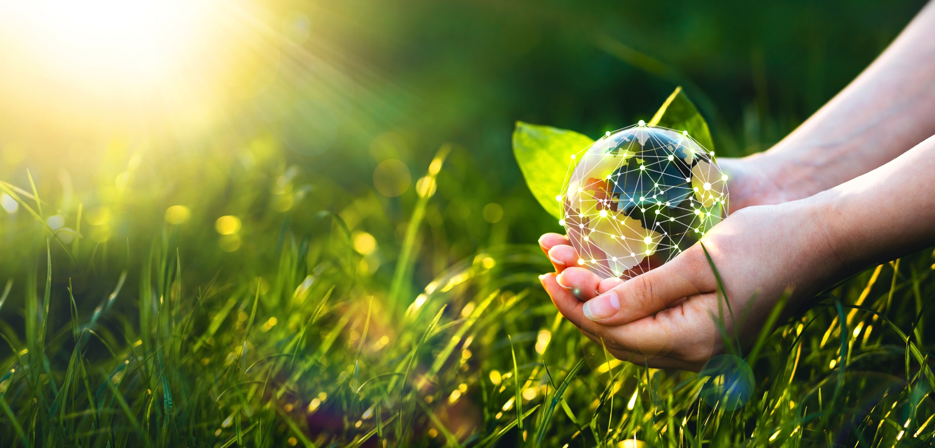 Natural Capital Conference 2025