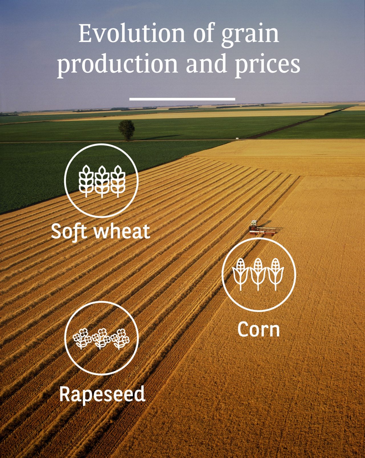 Investing in rural land